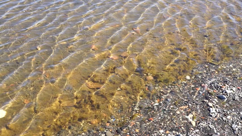 Waves of a Lake On Stock Footage Video (100% Royalty-free) 1007390320 ...