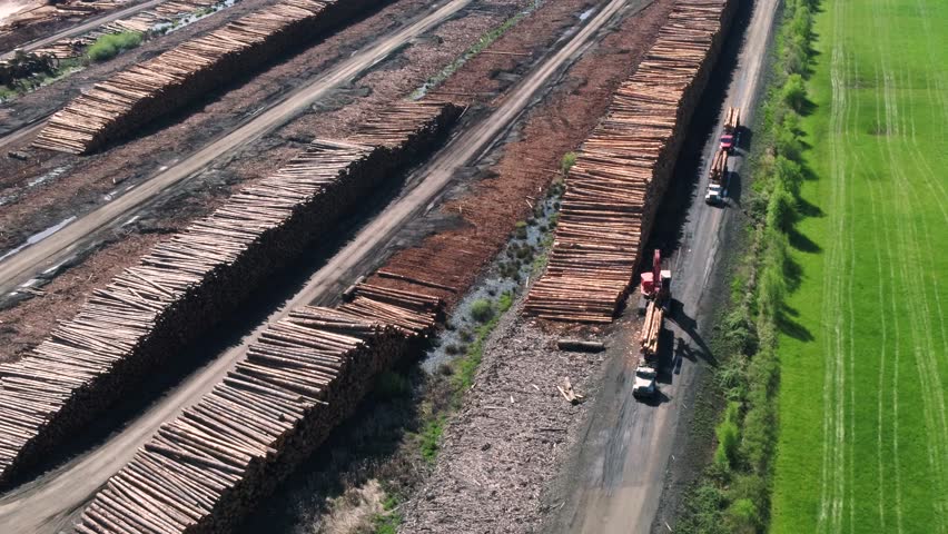 Lumber Yard Stock Video Footage - 4K and HD Video Clips | Shutterstock