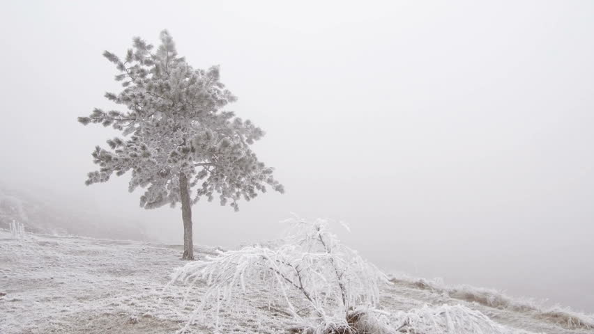 Mountainside Landscape in the fog image - Free stock photo - Public ...
