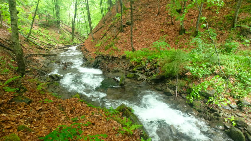 Streams and landscape in Great Smoky Mountains National Park, Tennessee ...