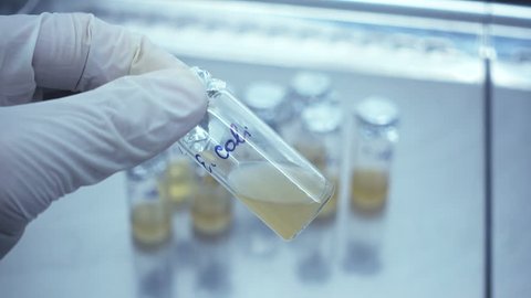 Escherichia Stock Video Footage - 4K and HD Video Clips | Shutterstock