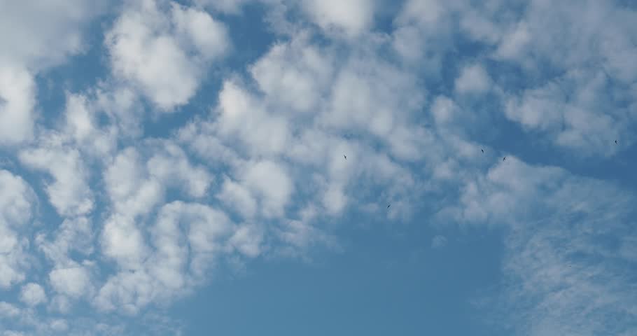 Clouds on a mostly clear sky image - Free stock photo - Public Domain ...