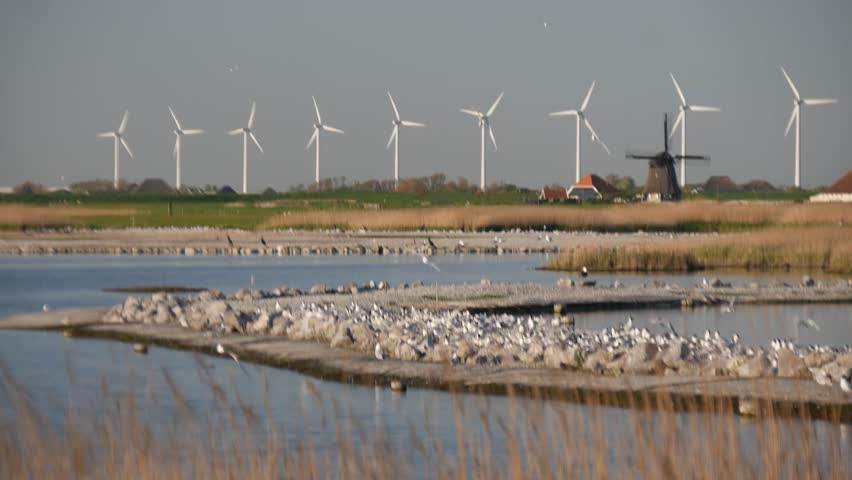 Windmill by the shoreline in the Netherlands image - Free stock photo ...