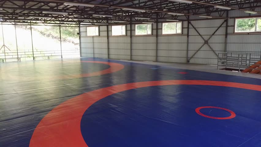 People wrestling in a match image - Free stock photo - Public Domain ...