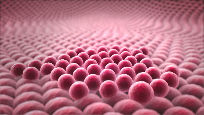 Cell Division Close Up, Microscopic Stock Footage Video (100% Royalty ...