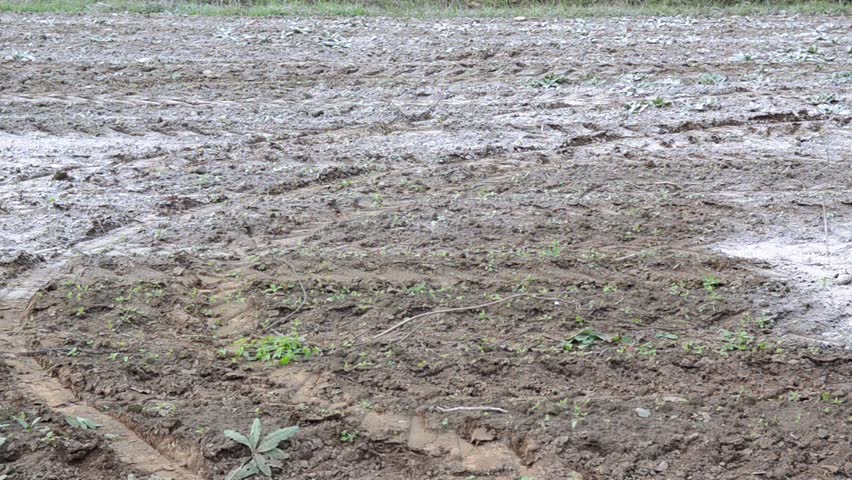 Tractor and Fertilizer Spreading Lime Stock Footage Video (100% Royalty ...