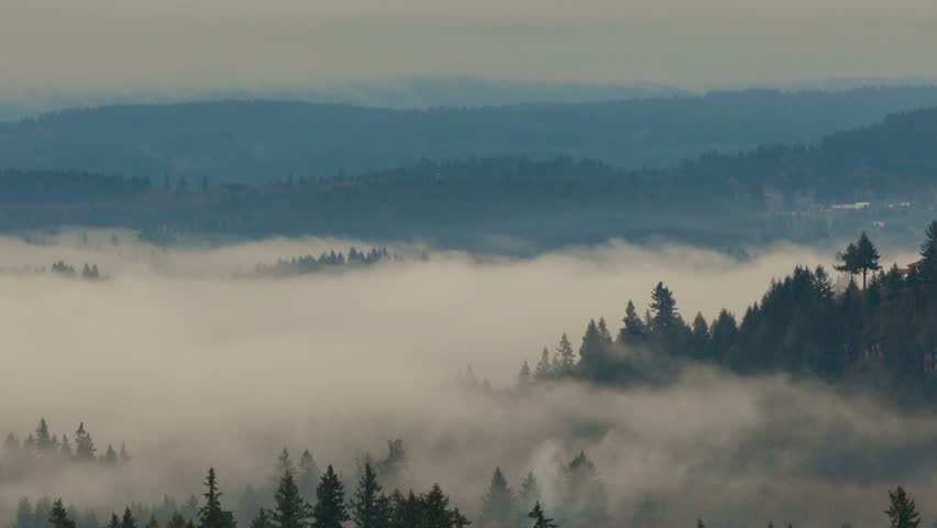 Mist over the forest and trees in Oregon image - Free stock photo ...