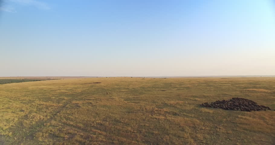 Sun and Prairie View Landscape image - Free stock photo - Public Domain ...