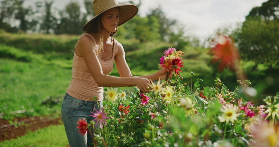 Woman Picking Flowers Hot Sex Picture