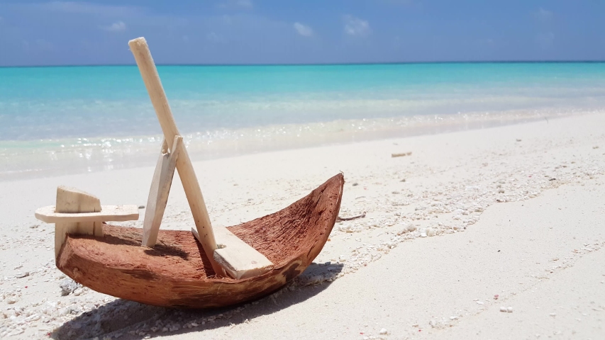 Shell on the shoreline on the beach image - Free stock photo - Public ...