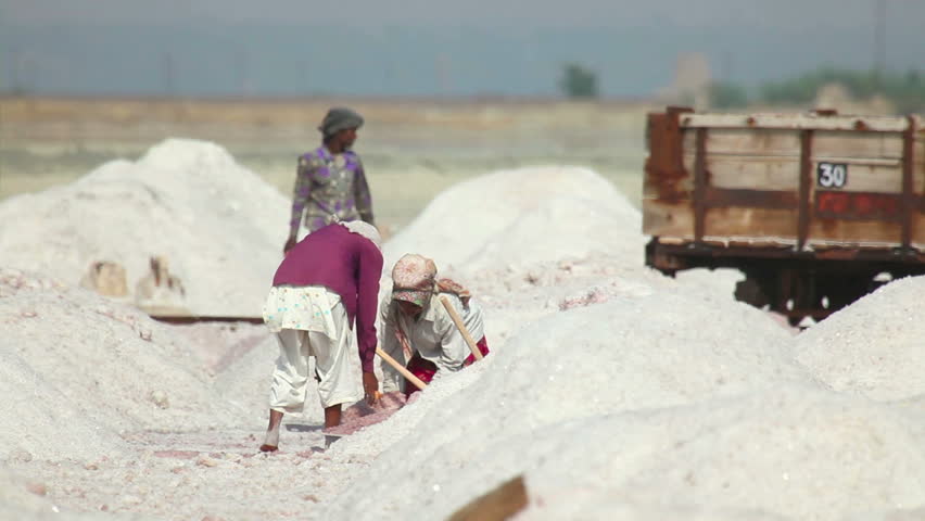 SAMBHAR, INDIA - NOVEMBER 19, 2012: Salt Mining On Lake In Sambhar ...