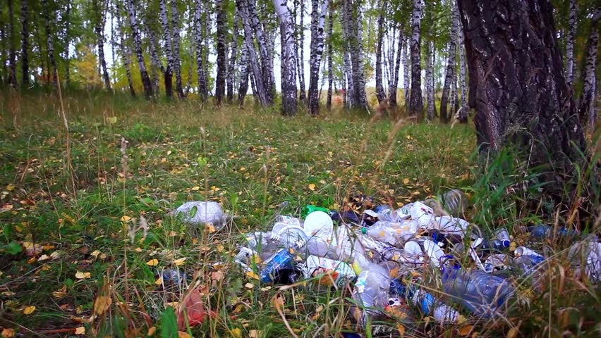Garbage In The Forest In Autumn. Environmental Pollution Stock Footage ...