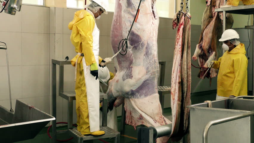 Abattoir Stock Video Footage - 4K and HD Video Clips | Shutterstock