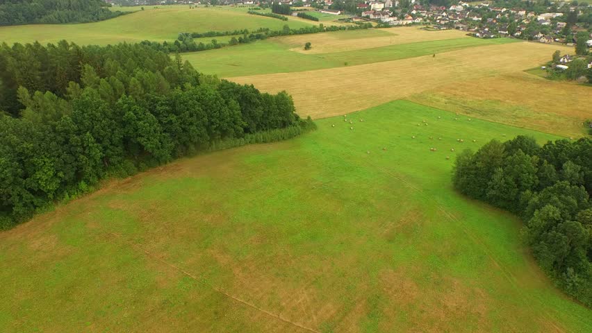 A Beautiful Aerial of Green Stock Footage Video (100% Royalty-free ...