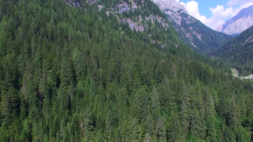 Snow Mountains, Forest And Alpine Meadow Near Ili River Valley In Ili ...