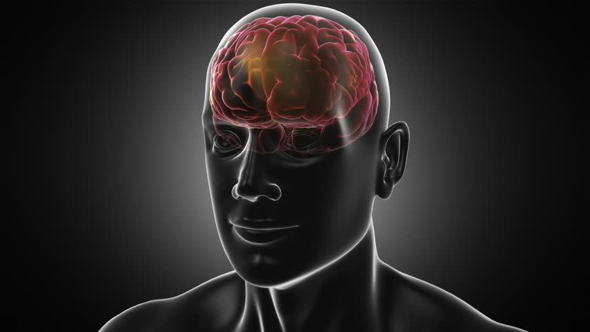 Spinning Human Brain With Regions Lighting Up And Electrical Impulses ...
