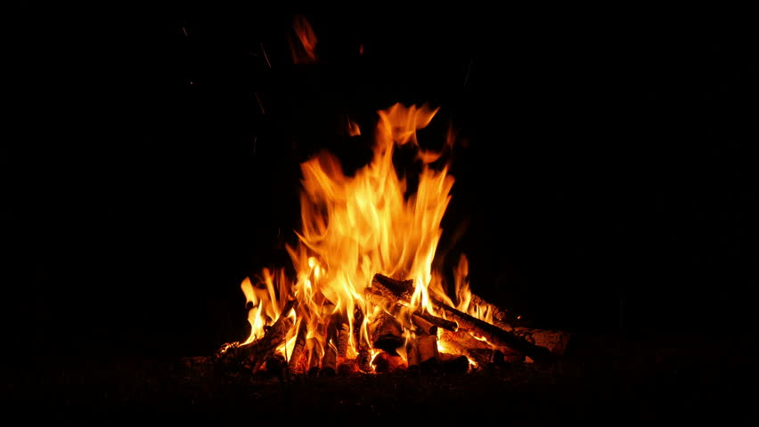 Campfire Stock Footage Video | Shutterstock
