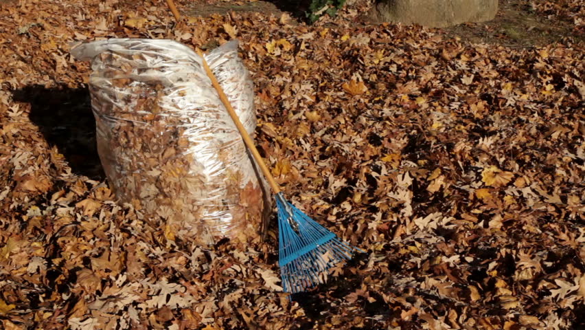 Autumn Leaves Being Raked in Stock Footage Video (100% Royalty-free ...