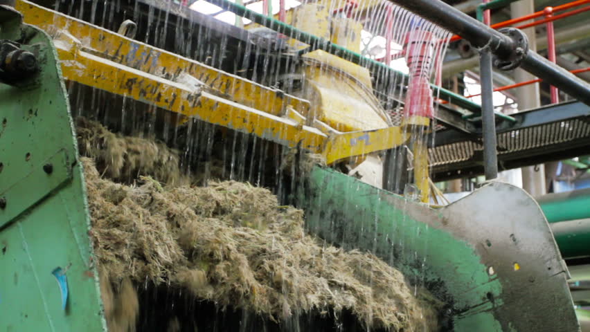 Stock video of sugar cane pulp being mulched after | 1339660 | Shutterstock