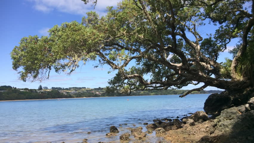 Landscape View Of Rangiputa Beach In Karikari Peninsula Northland,New ...