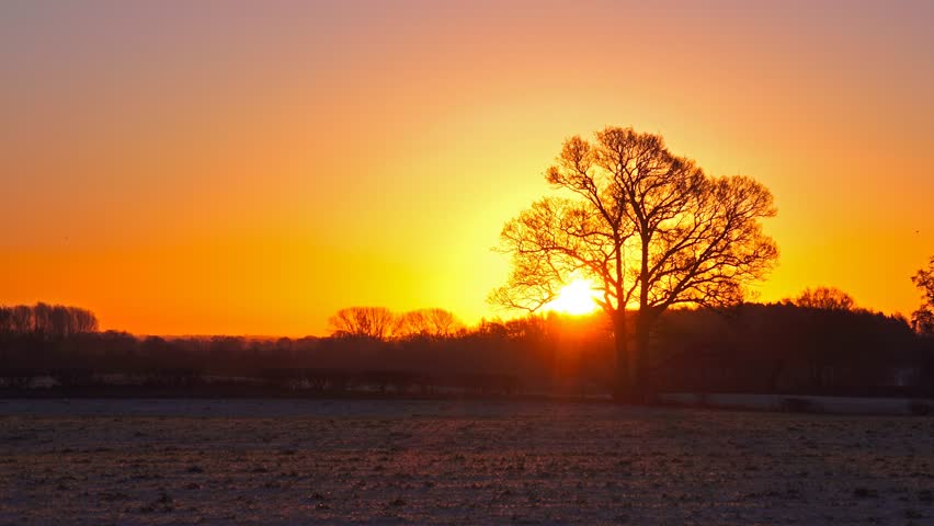 Morning Sunrise Over Winter Countryside Stock Footage Video (100% ...