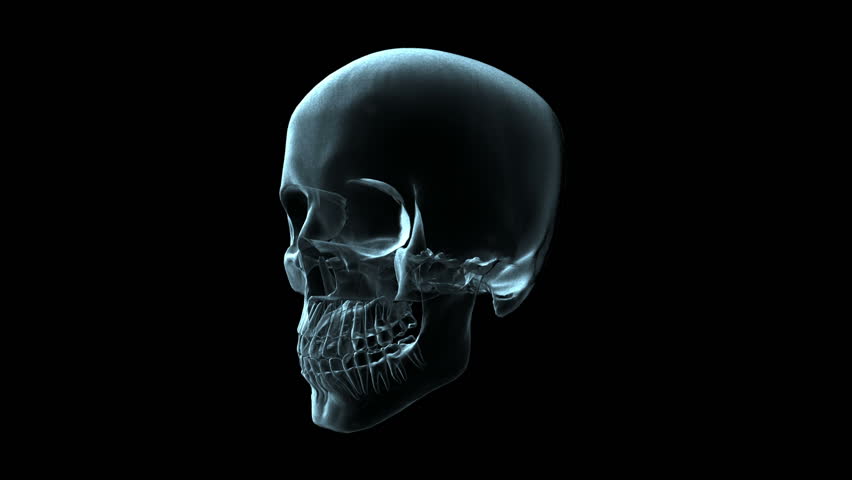 An Animated X Ray Of A Human Skull Talking Videos de metraje en stock ...
