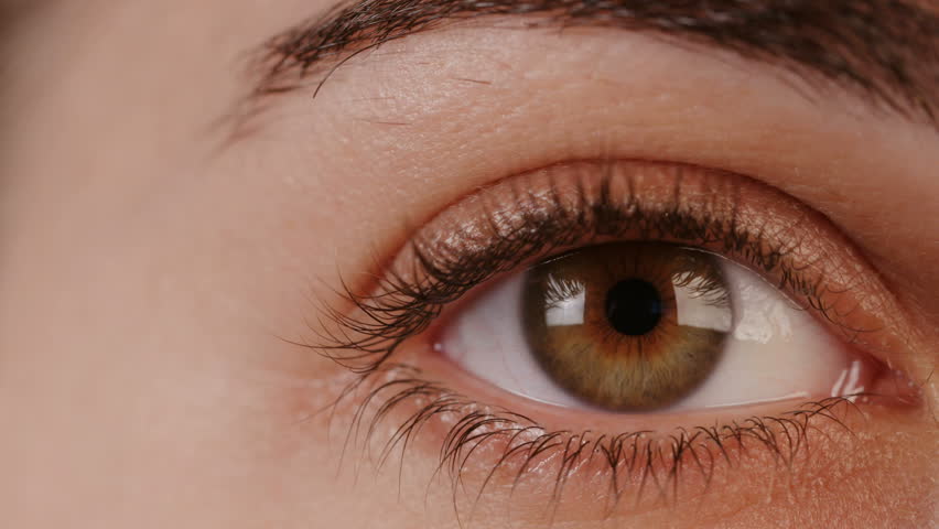 Close Up Of Woman's Brown Eye Stock Footage Video 4724474 | Shutterstock