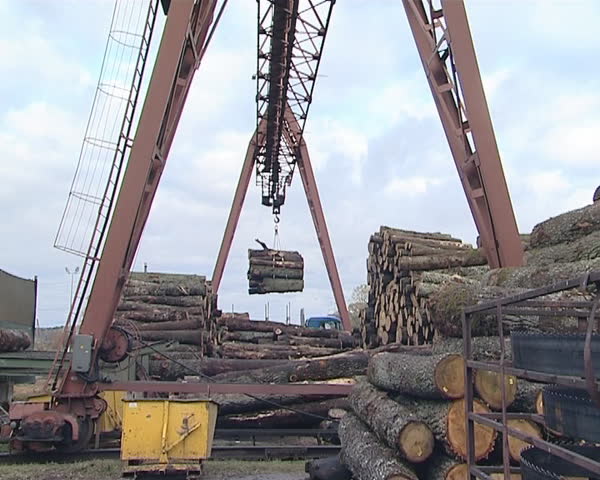Unloading Logs from the Machines. Stock Footage Video (100% Royalty ...