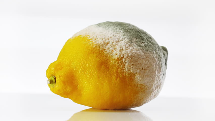 Stock video of rotten lemon covered with mold rotating | 14905060 ...