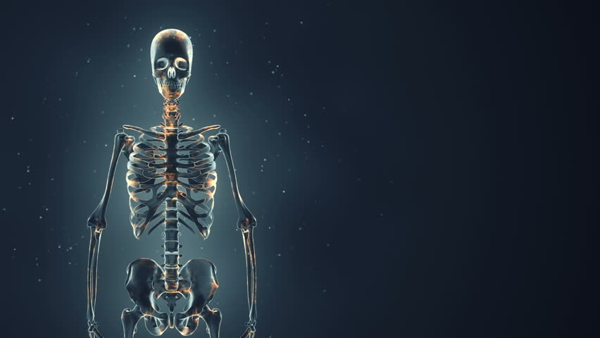 Abstract Background With Animation Of Rotation Realistic Human Skeleton ...