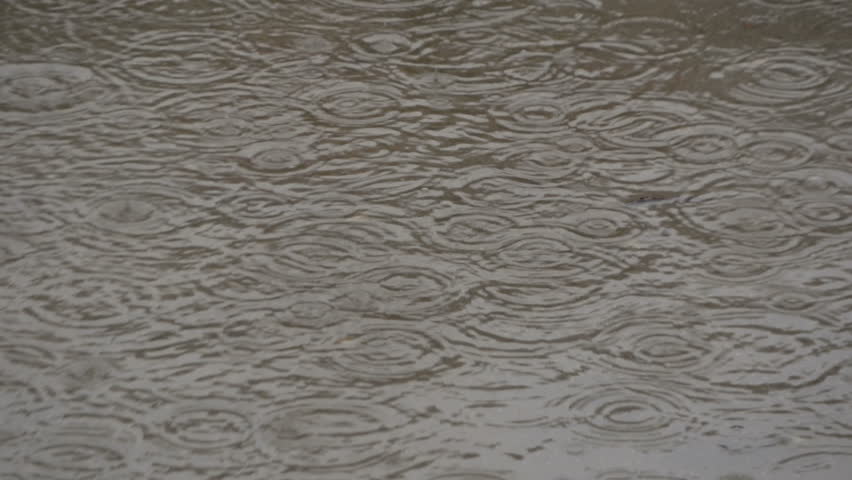 Stock video of rain drops falling in puddle, close | 15147910 ...