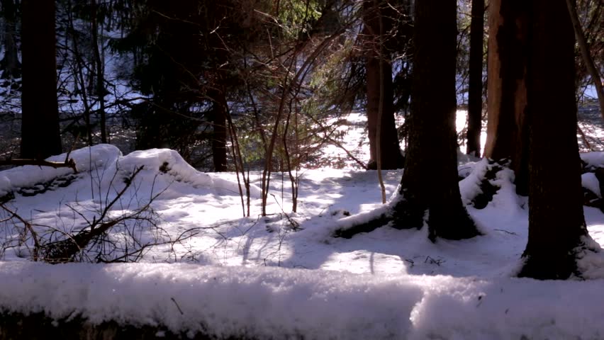 Rapids of river Vantaa in Finland landscape image - Free stock photo ...