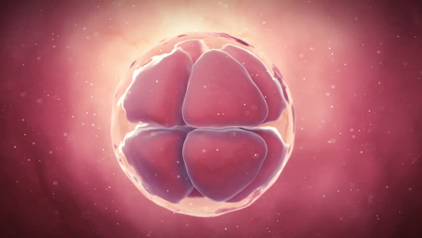 Medical 3d Animation of a Stock Footage Video (100% Royalty-free ...