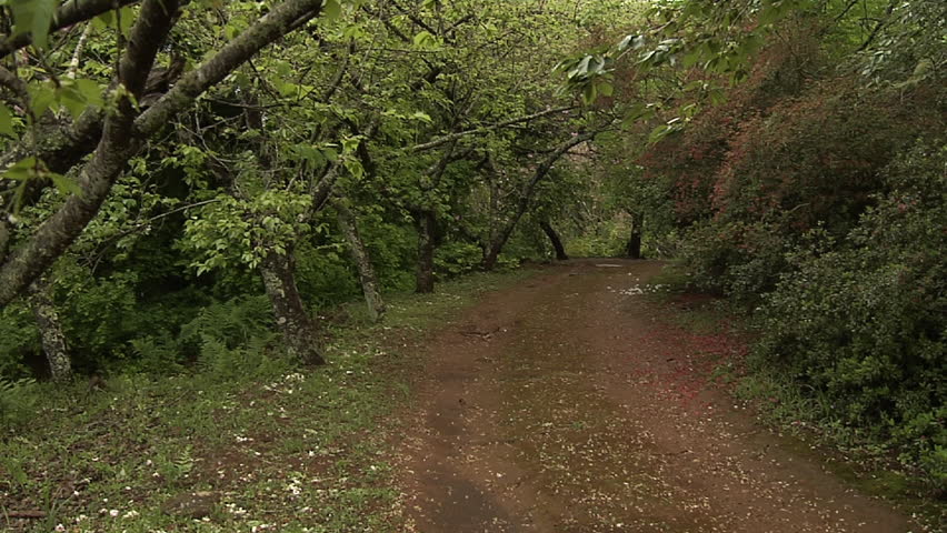 Locked Off Long Shot of Stock Footage Video (100% Royalty-free ...