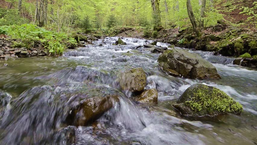 Stockvideo von mountain stream with stones close up | 16437580 ...