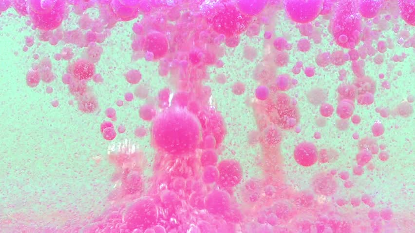 Fish Blood Cell Under A Microscope (Blood Smear Fish), Full HD Stock ...