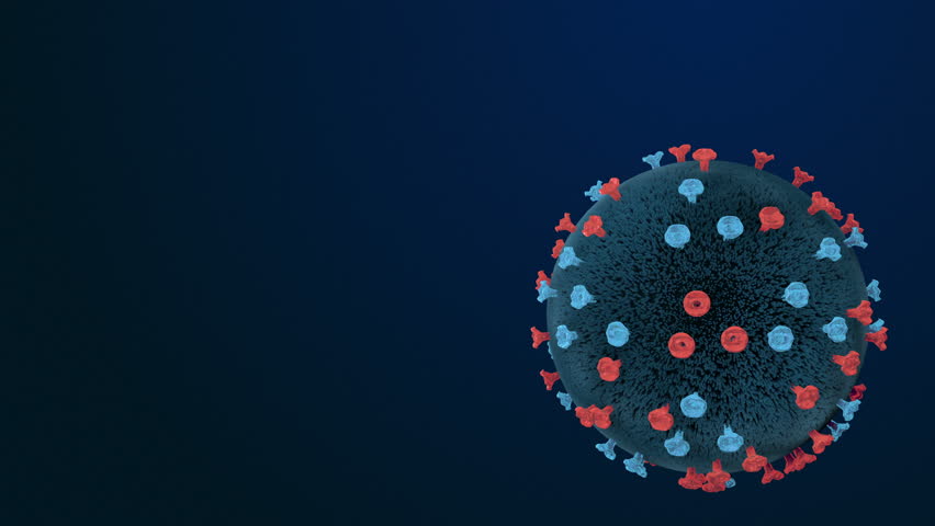 Stock Video Clip of Measles virus disease. Animation of measles virus ...