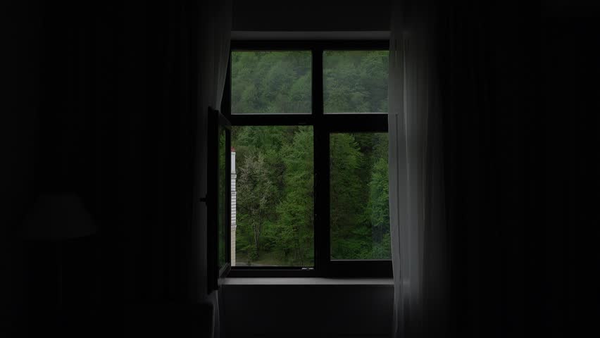 First Person View Look Out Stock Footage Video (100% Royalty-free ...