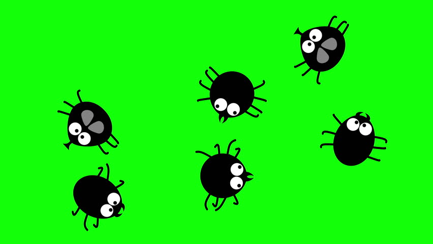 Funny Black Insects Crawling On White, 2d Animated Cartoon, Seamless ...