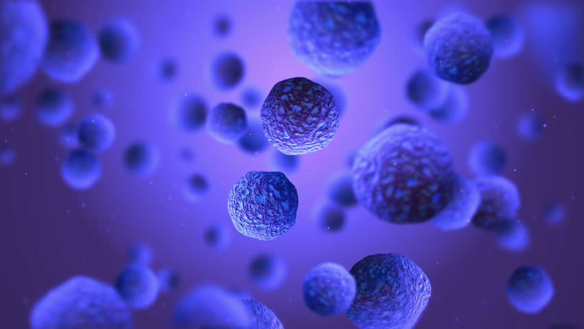 Bacteria Virus Or Germs Microorganism Cells Under Microscope With Depth ...