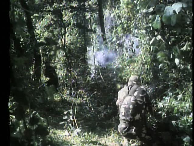 Guerilla Warfare in Jungle Stock Footage Video (100% Royalty-free ...