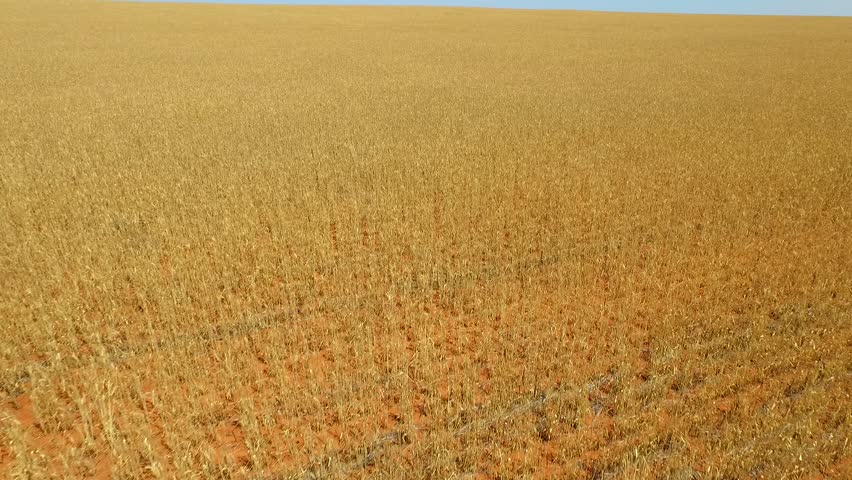 Aerial Views Of Dry Land Farming And Cropping In Australia, Featuring ...