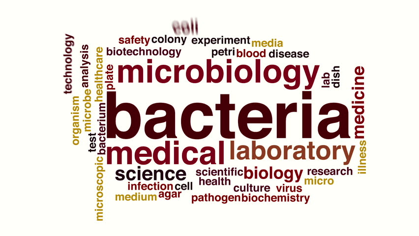 Bacteria Animated Word Cloud, Text Design Animation. Stock Footage ...