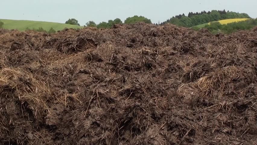 Pile of Manure. Ambient Sound Stock Footage Video (100% Royalty-free ...