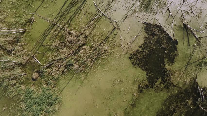Aerial Shot Over the Swamp Stock Footage Video (100% Royalty-free ...