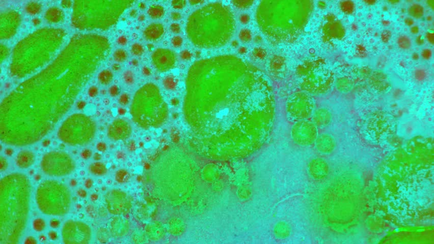 Curlicue of Paints Stock Footage Video (100% Royalty-free) 20947510 ...