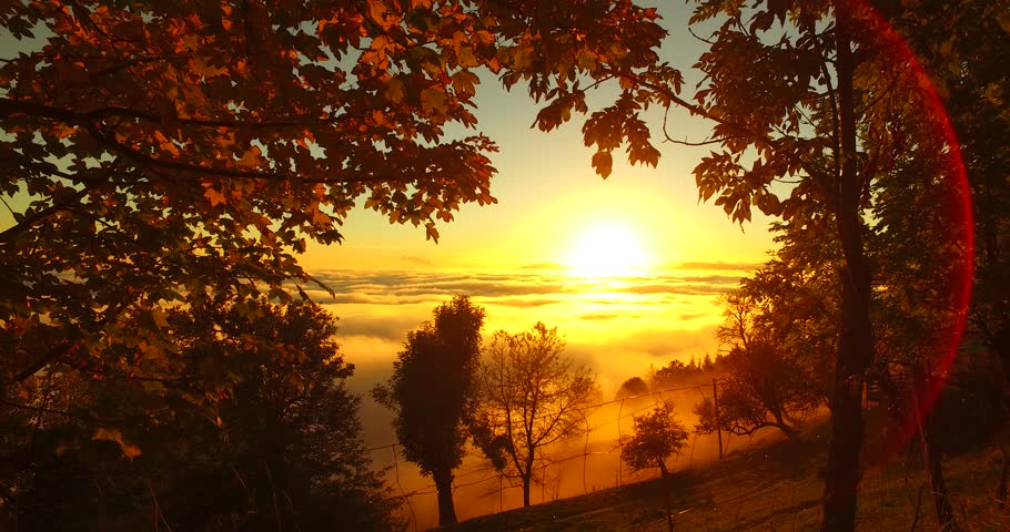 Bright Autumn Trees Sunshine Sunshine Autumn Park Red Trees Afternoon ...