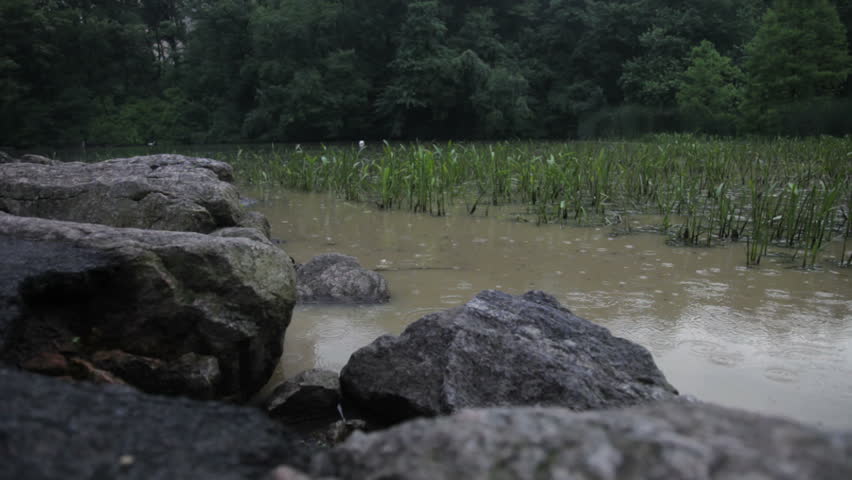 Rain Falling Into Muddy Pond Stock Footage Video (100% Royalty-free ...