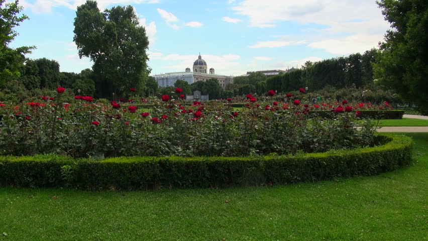 Camera Slides Past Red Roses In Volksgarten Vienna. The Dome Of The ...