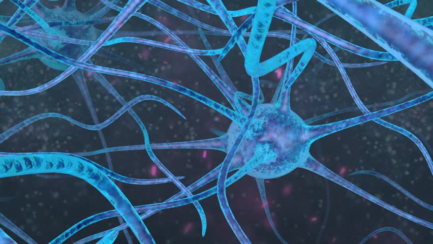 Neuron Network. Neuron Structure Sending Electric Impulses And ...